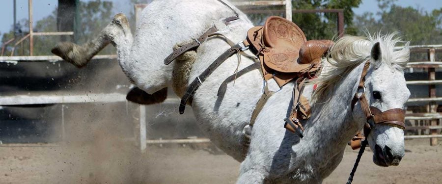 Yeehaw! San Antonio Rodeo & Country Concert